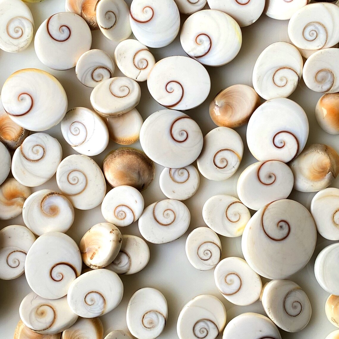 Mix Gems 100ct Lot Natural Shell Gemstones, Mix Bulk Lot, Making Kit ...
