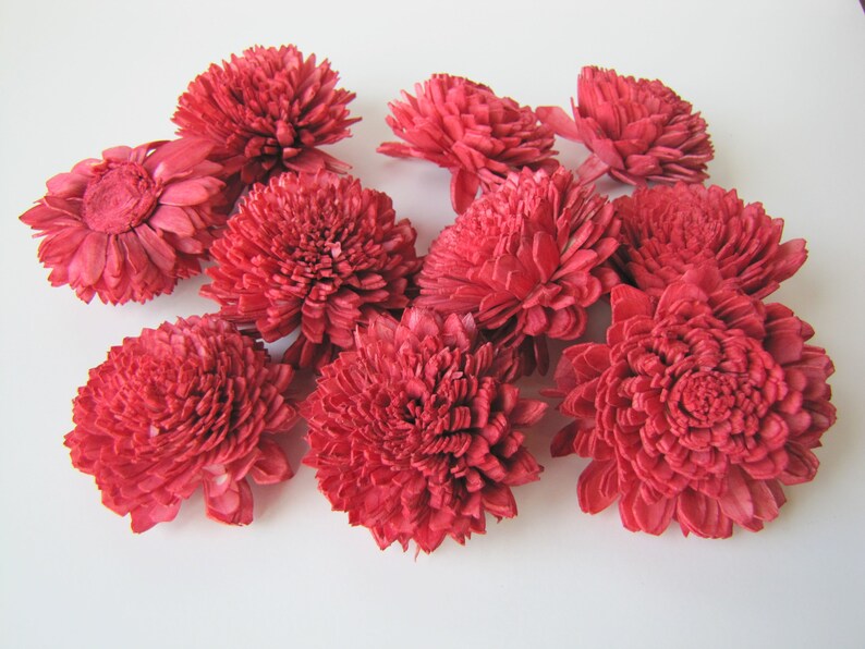 Red Zinnia Sola Flowers SET OF 10 Red Zinnias Sola Wood | Etsy