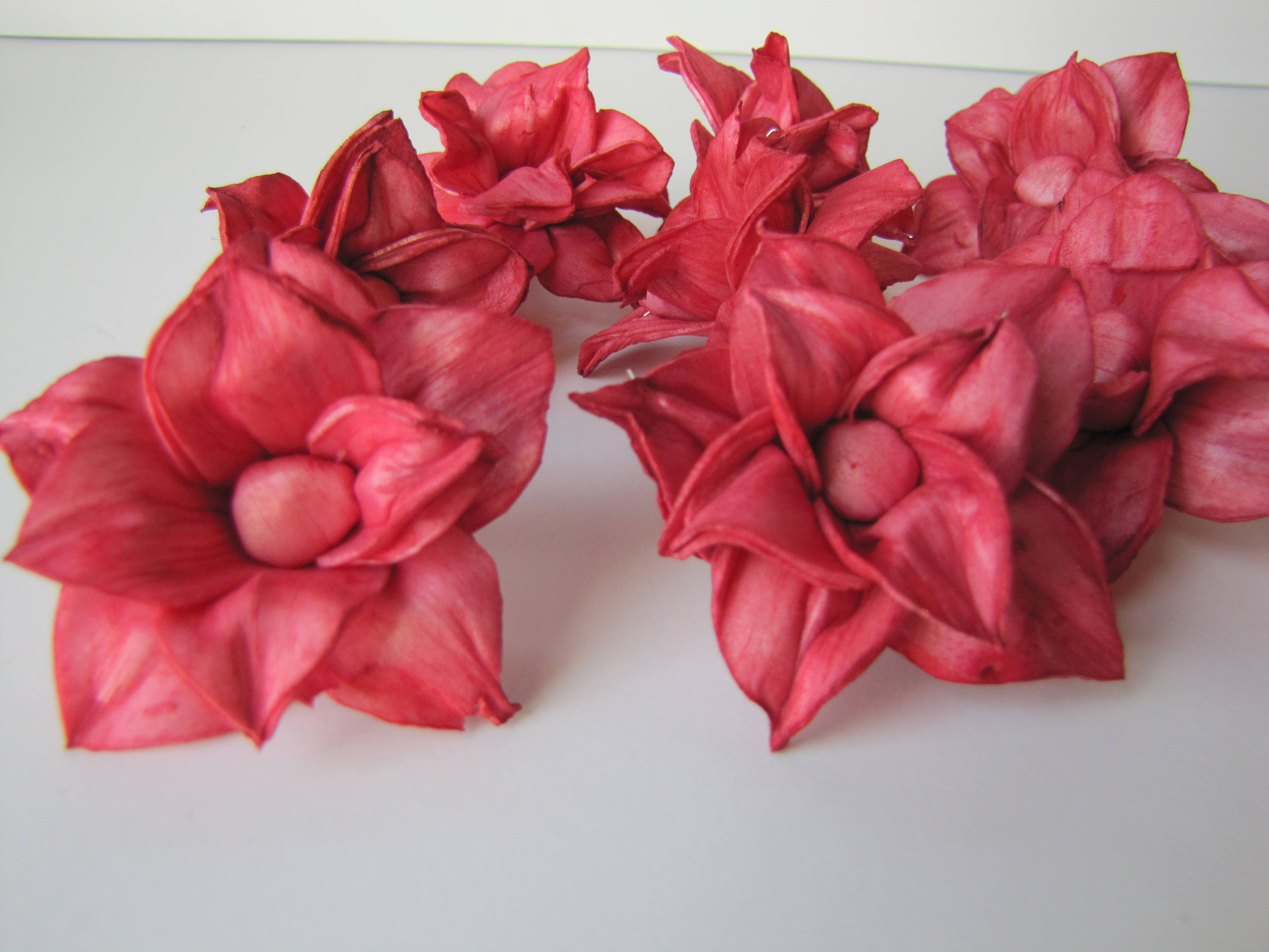 Red Star Magnolia Sola Flowers - SET OF 10