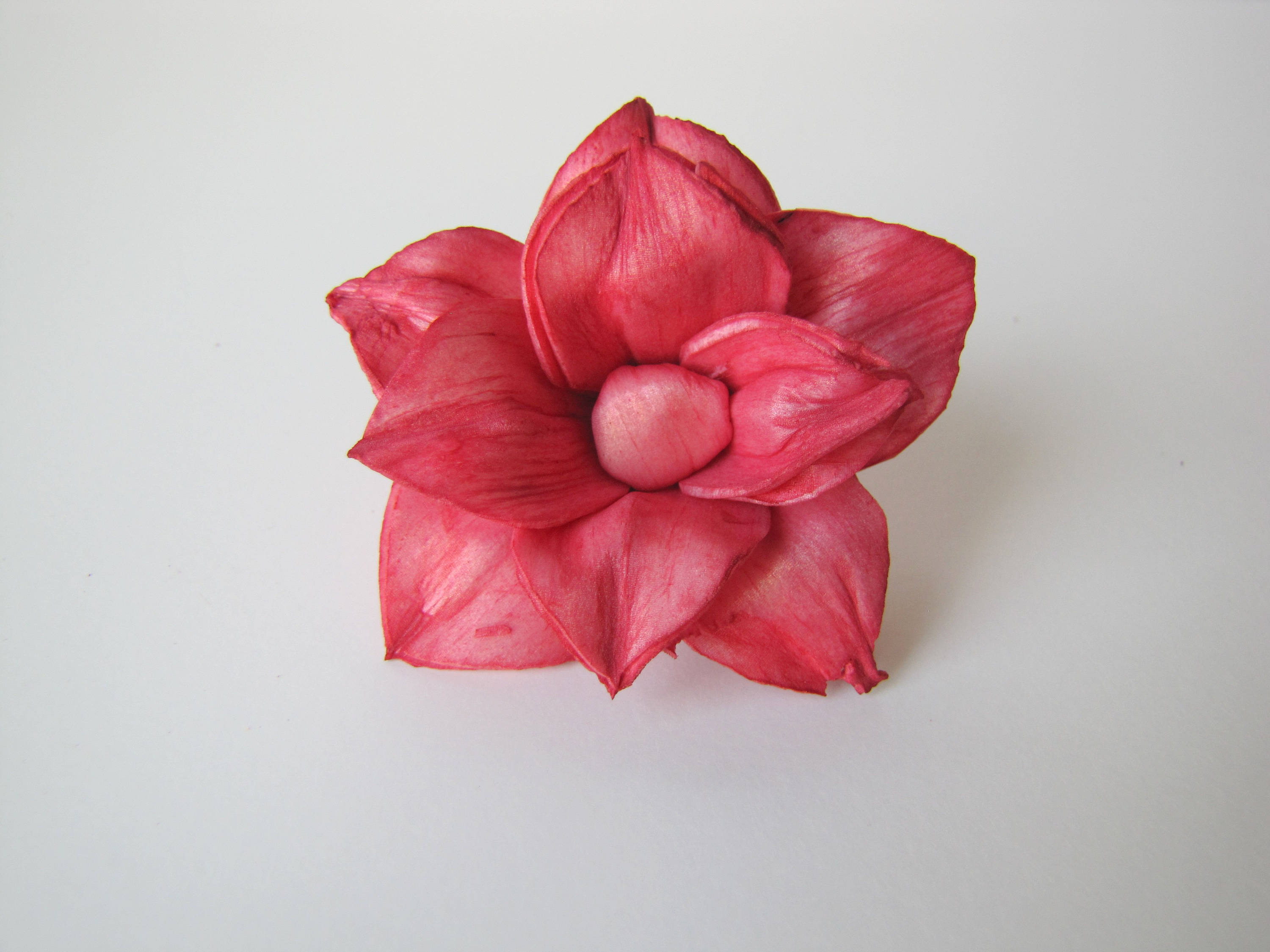 Red Star Magnolia Sola Flowers - SET OF 10