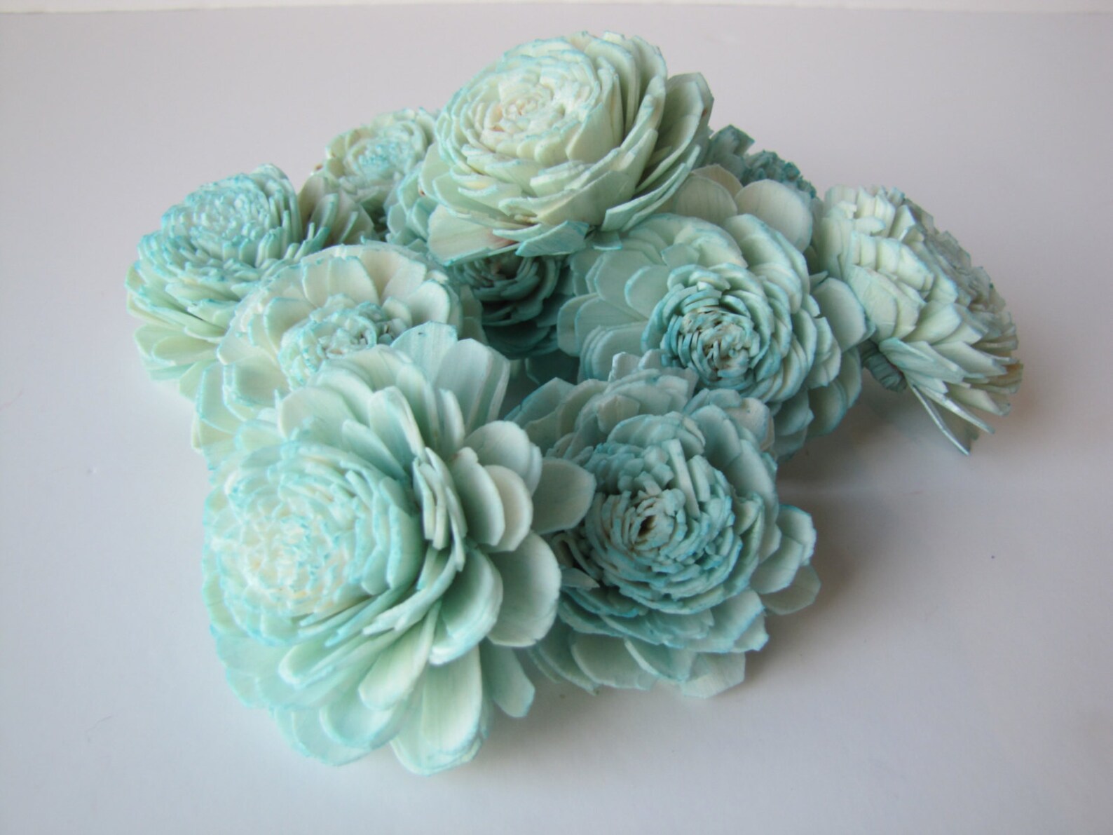 Mint Belly Sola Flowers SET OF 10 balsa Wood Sola Flowers - Etsy