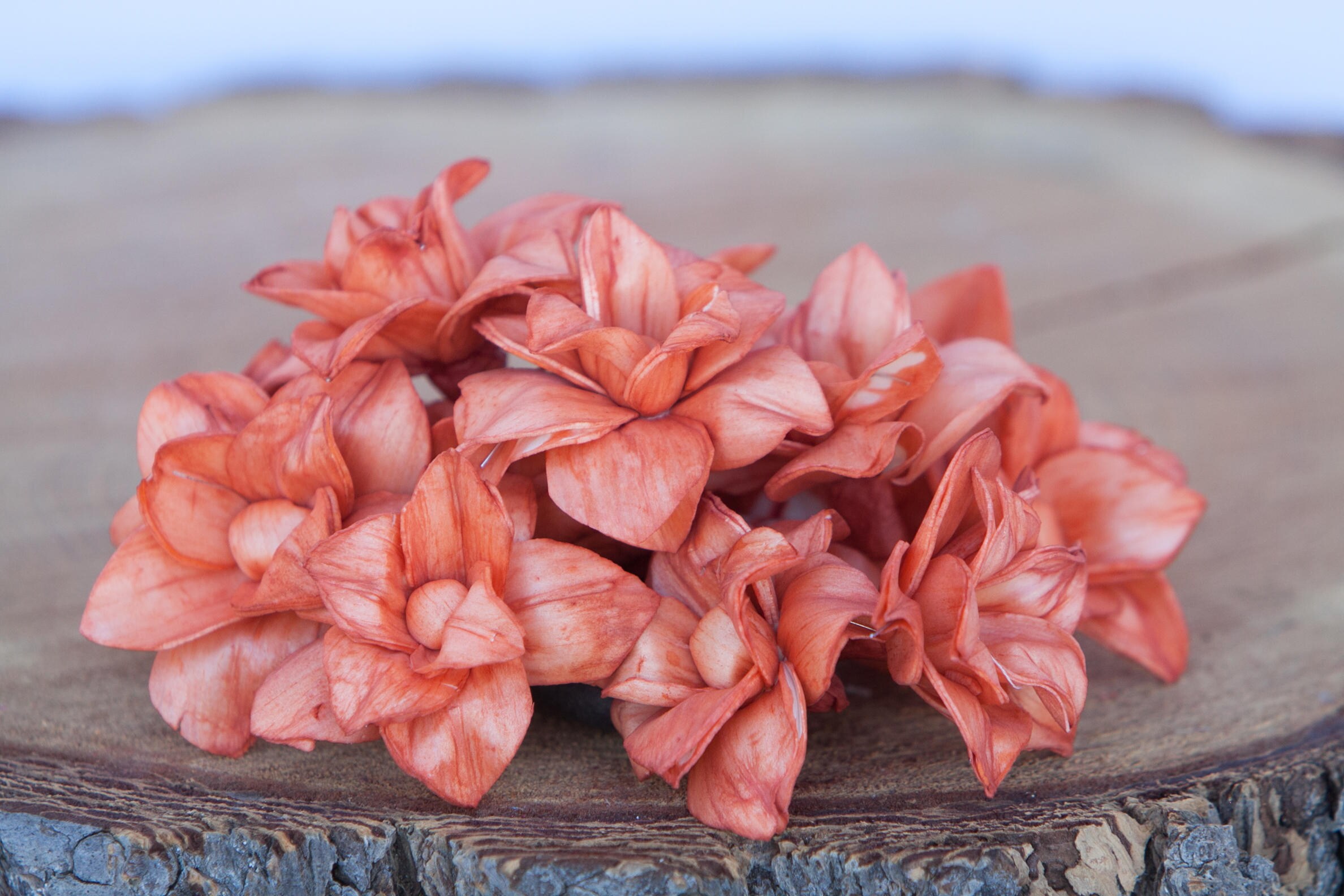 Orange Star Magnolia Sola Flowers SET OF 10 Orange Wood - Etsy