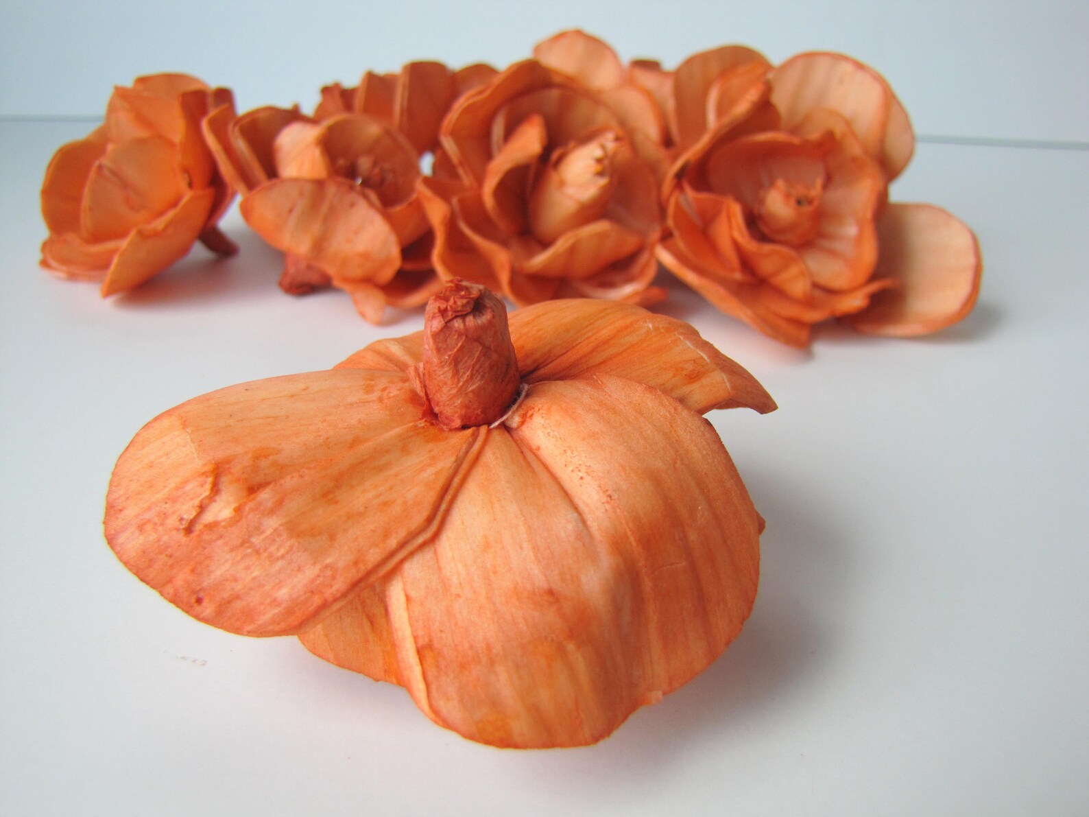 Orange Sola Magnolia Flowers SET OF 10 Sola Flowers Wood - Etsy