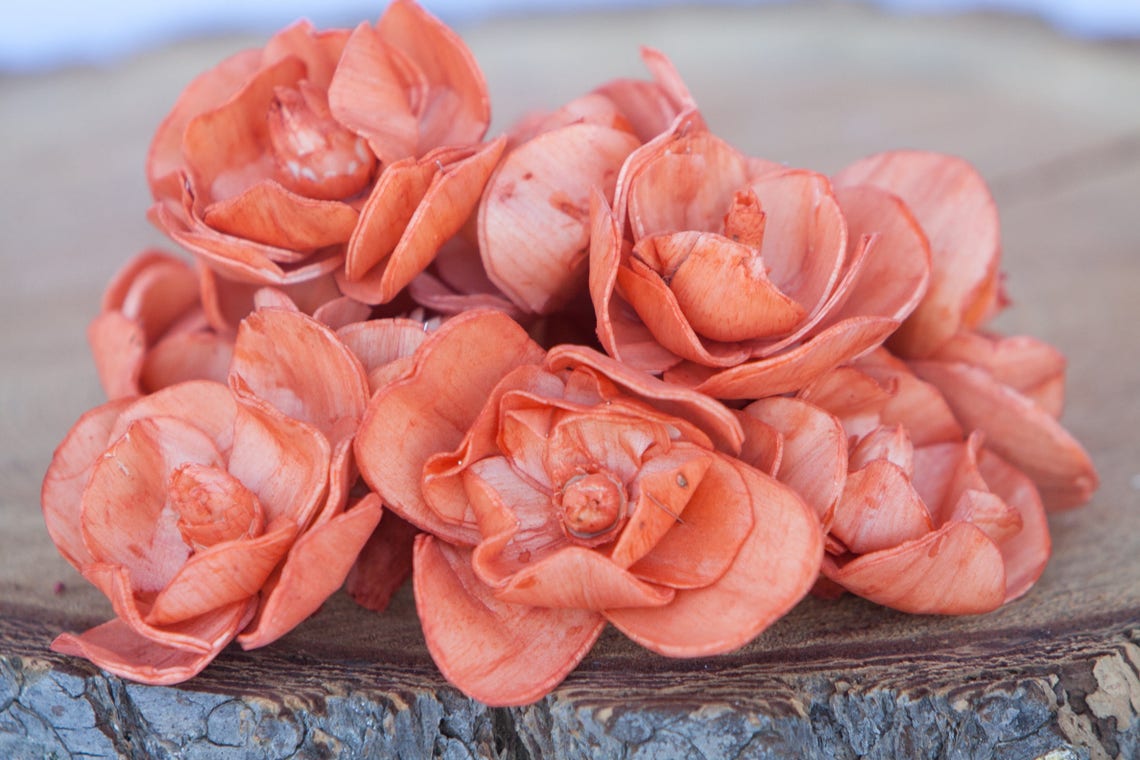 Orange Sola Magnolia Flowers SET OF 10 Sola Flowers Wood - Etsy