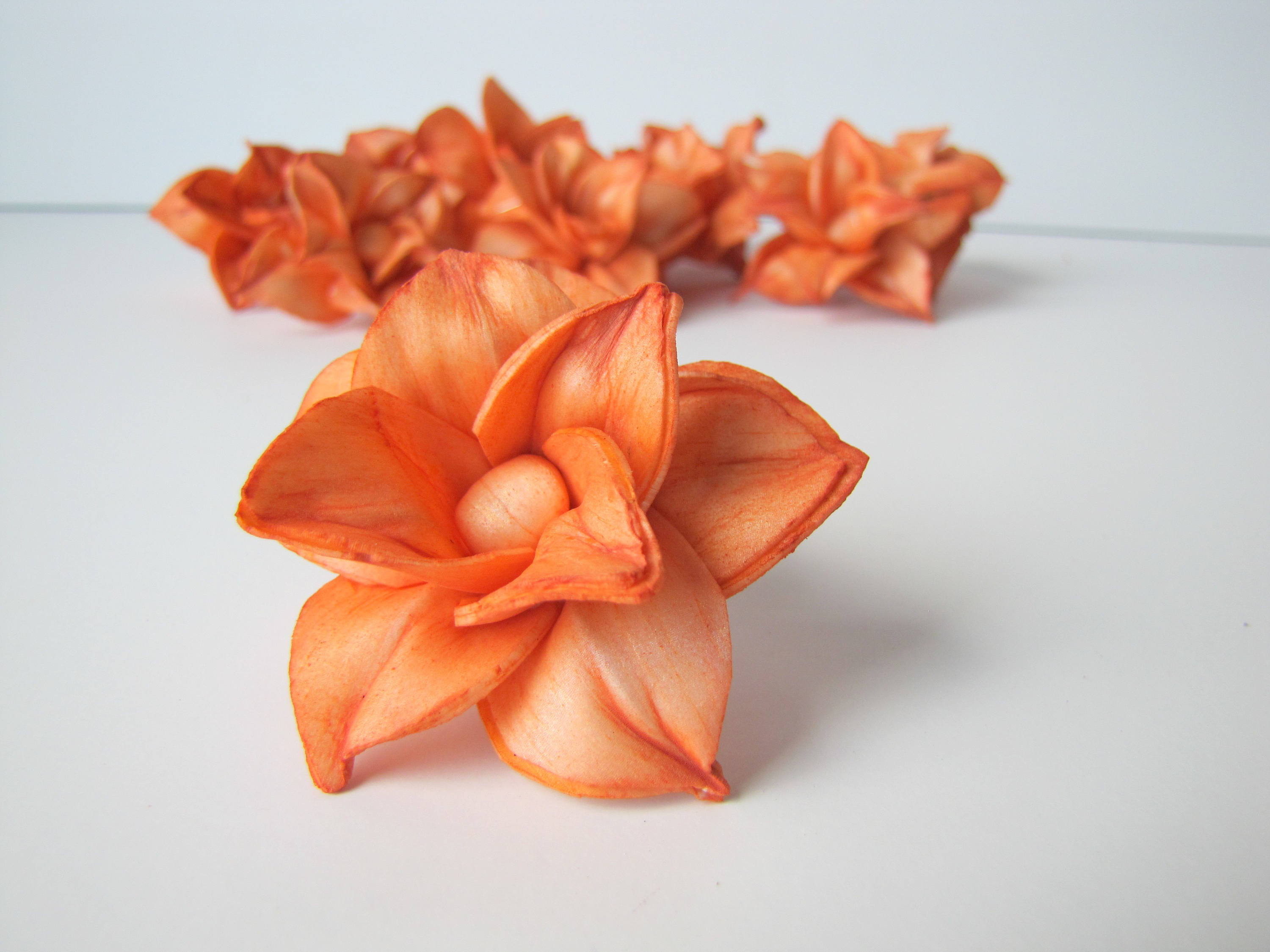 Orange Star Magnolia Sola Flowers SET OF 10 Orange Wood - Etsy