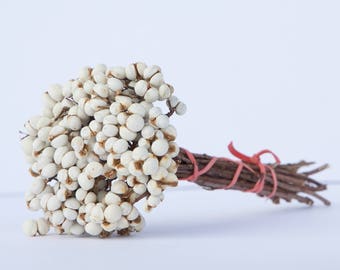 Dried Long Stem Tallow Berry Bundle - Tallowberries - Natural Decor ...