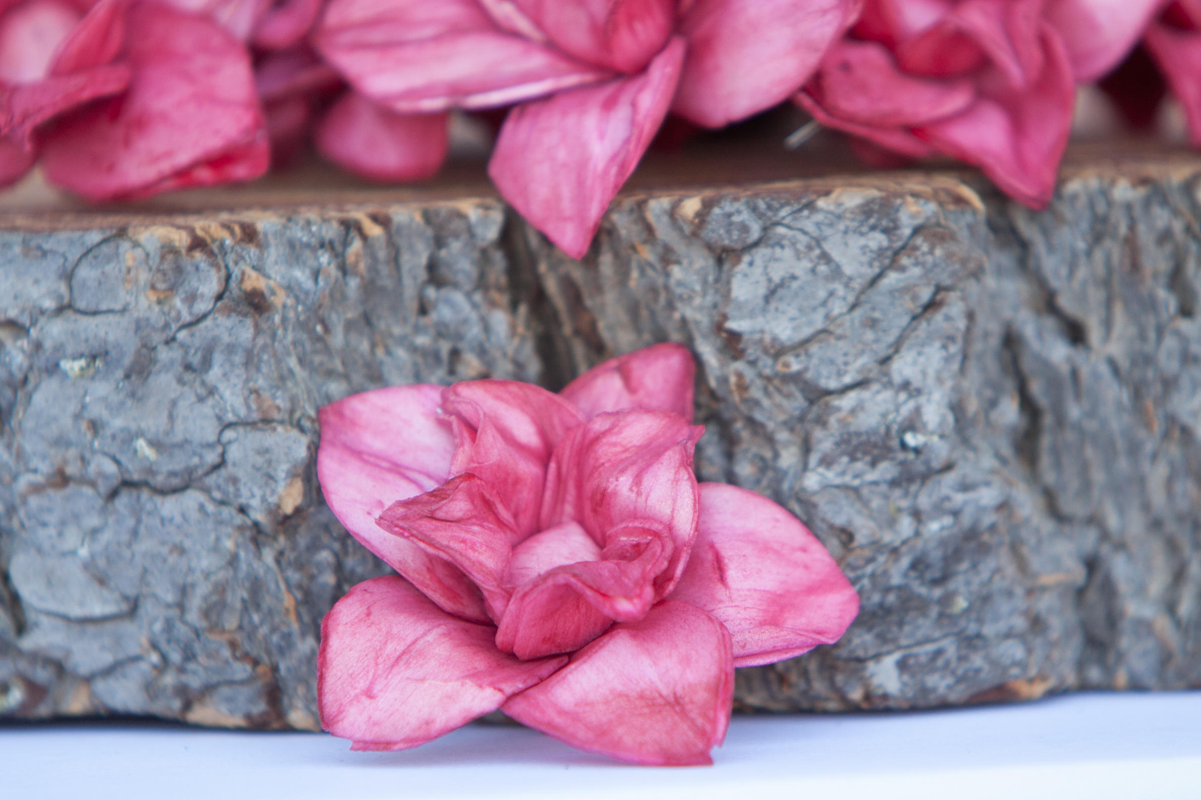 Red Star Magnolia Sola Flowers - SET OF 10