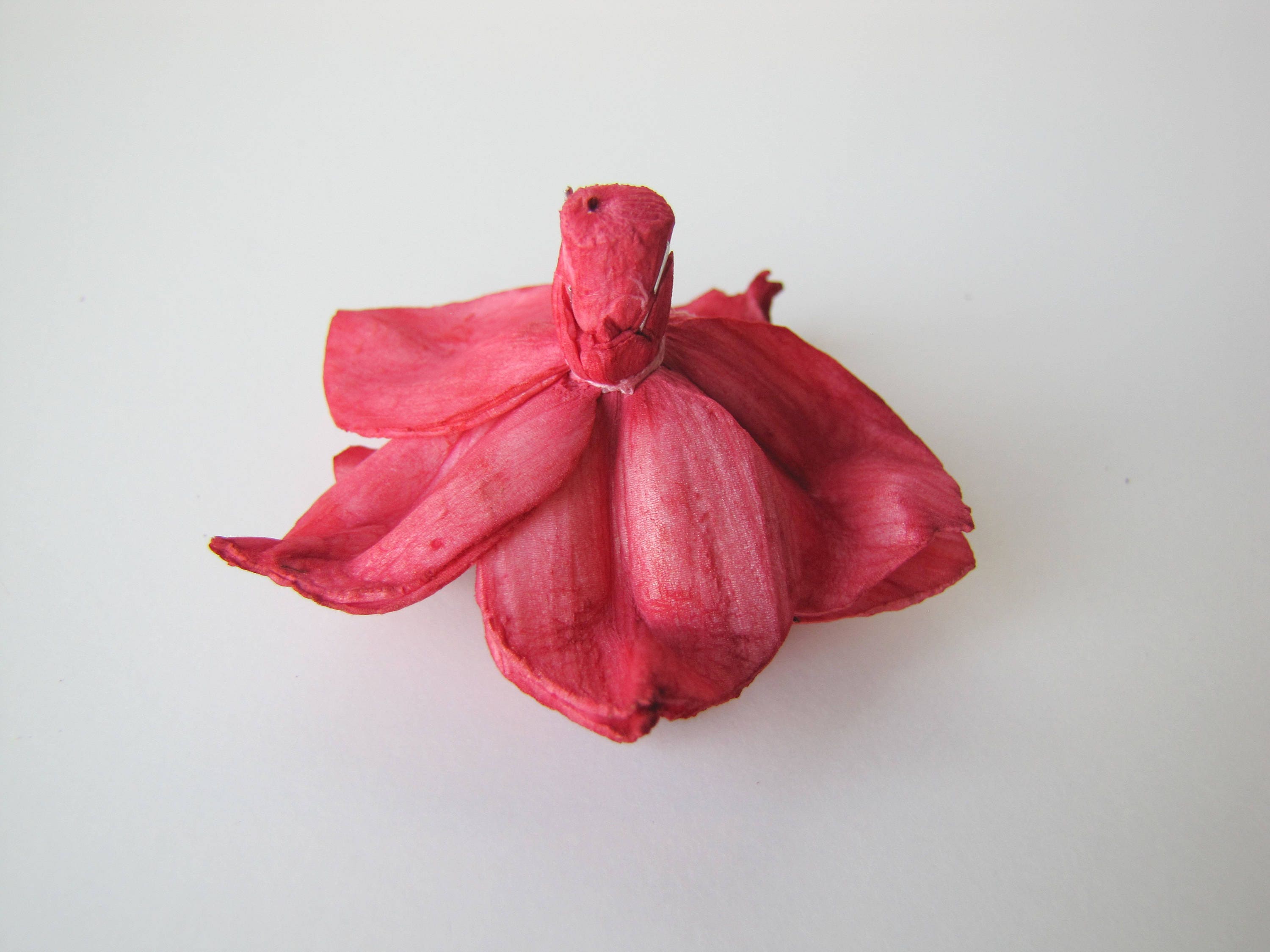 Red Star Magnolia Sola Flowers - SET OF 10