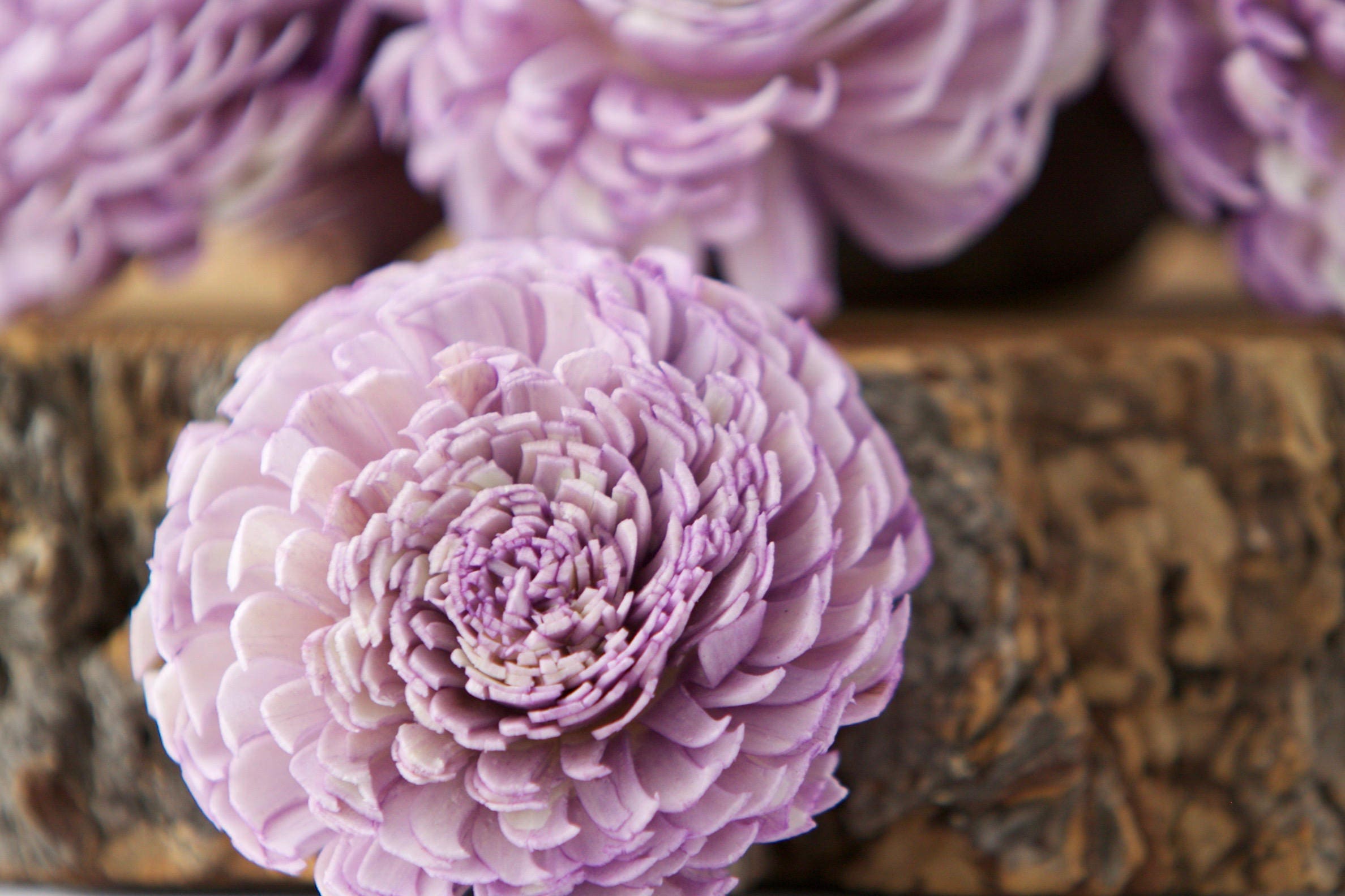 Lavender Large Chorki Sola Flowers - Set of 10, Sola Flowers, Purple ...