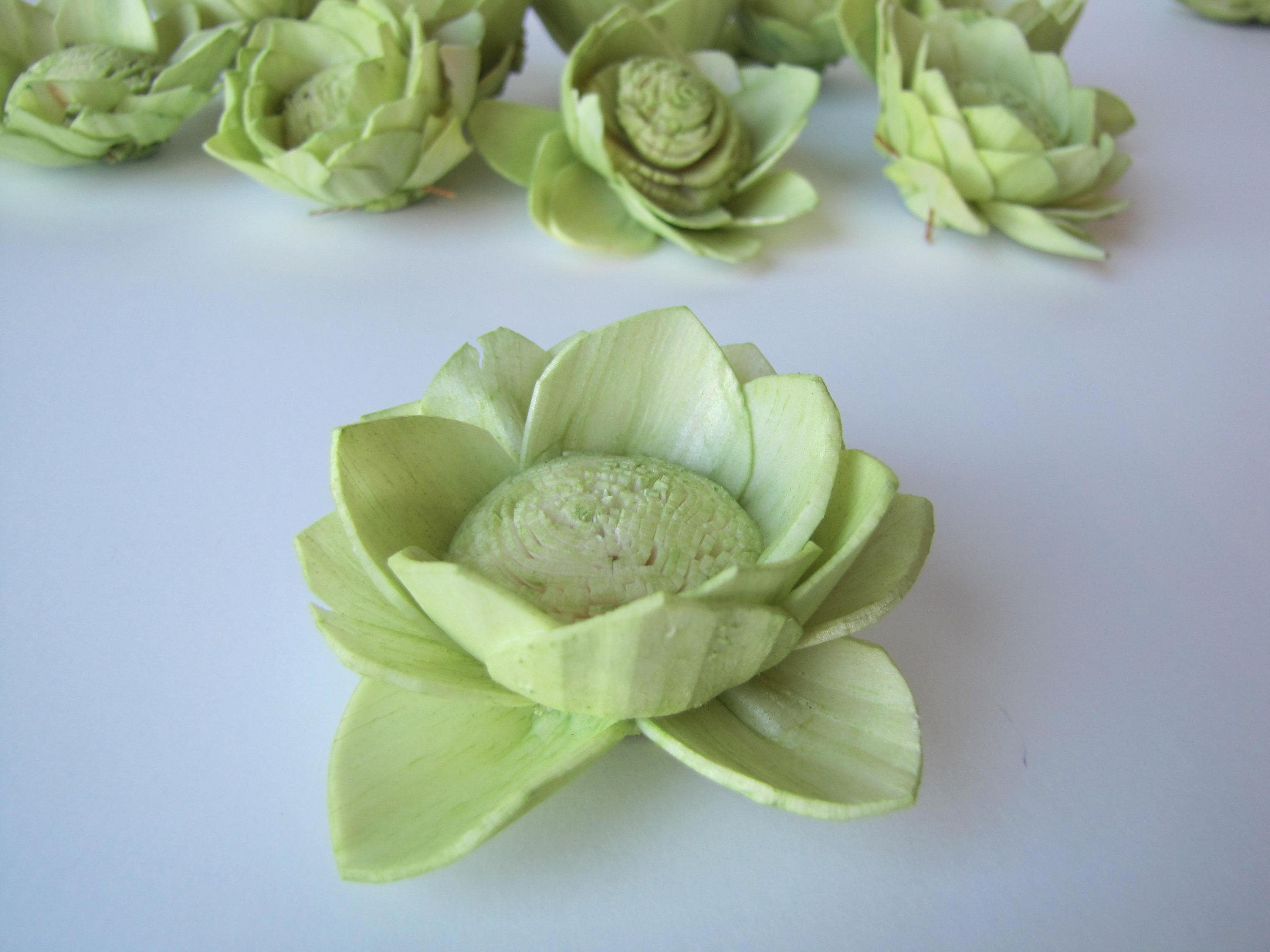 Green Camellia Sola Flowers- SET OF 10 , Green Sola Flowers, Green Wood ...