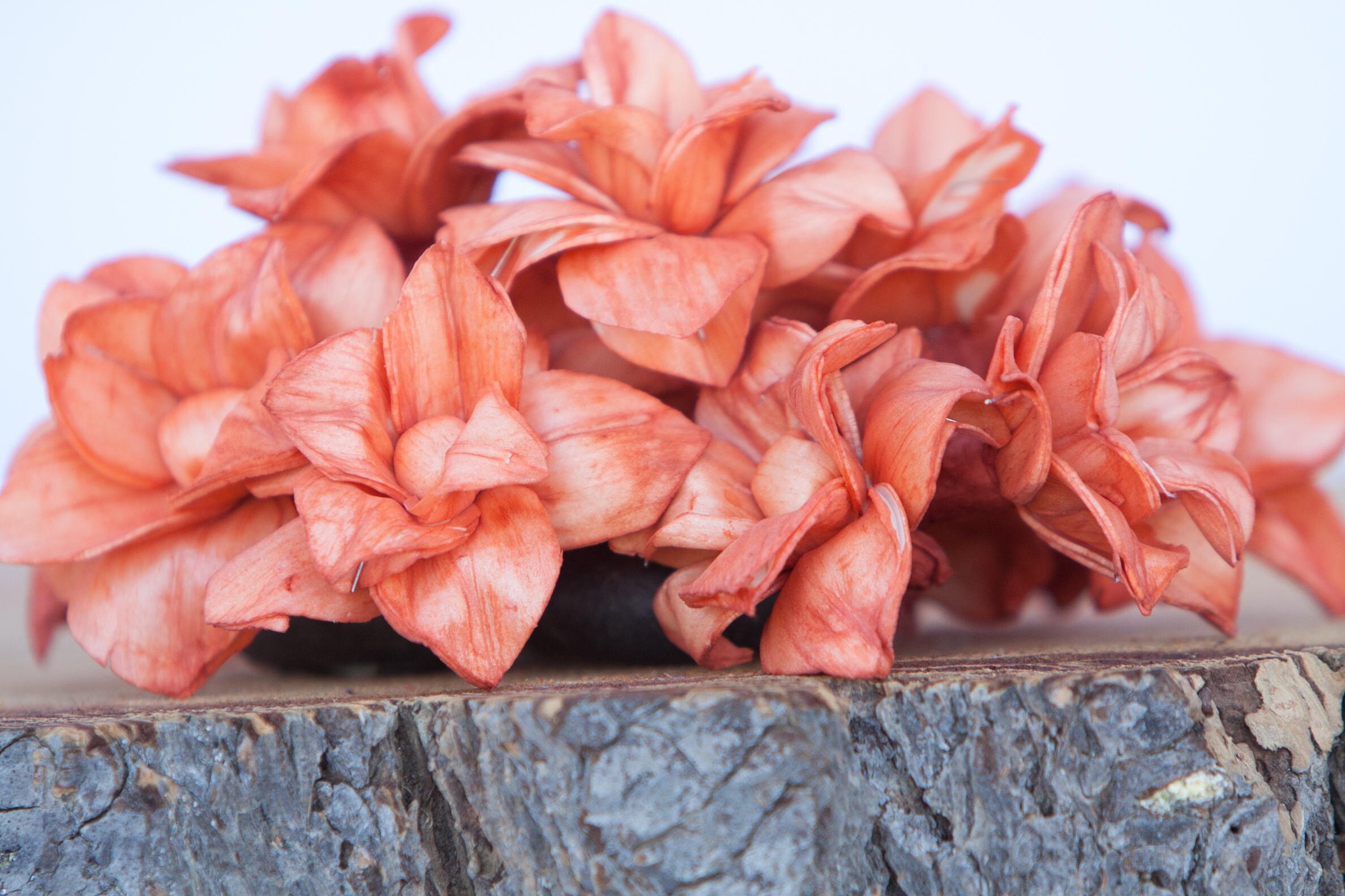 Orange Star Magnolia Sola Flowers SET OF 10 Orange Wood - Etsy