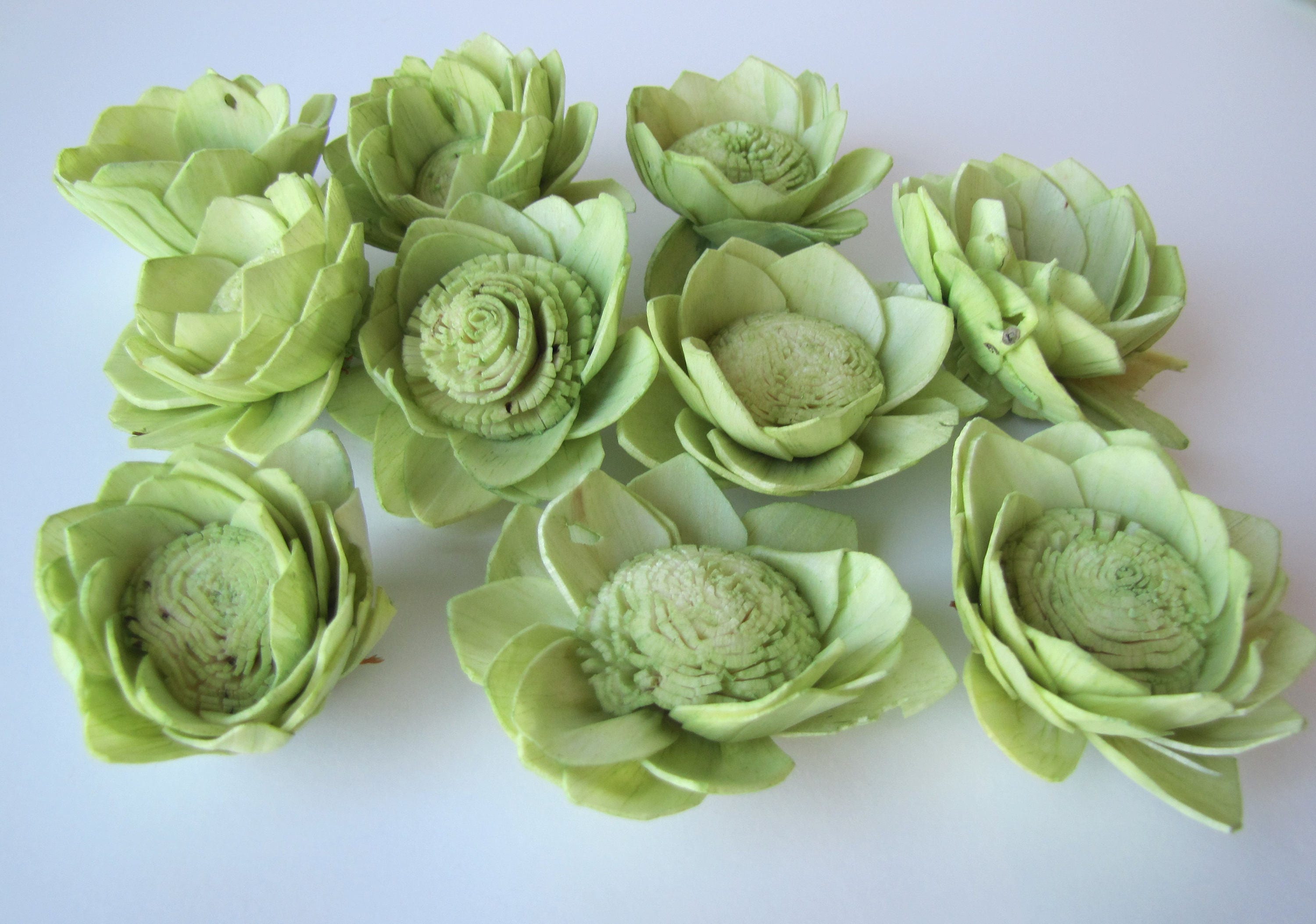 Green Camellia Sola Flowers- SET OF 10 , Green Sola Flowers, Green Wood ...
