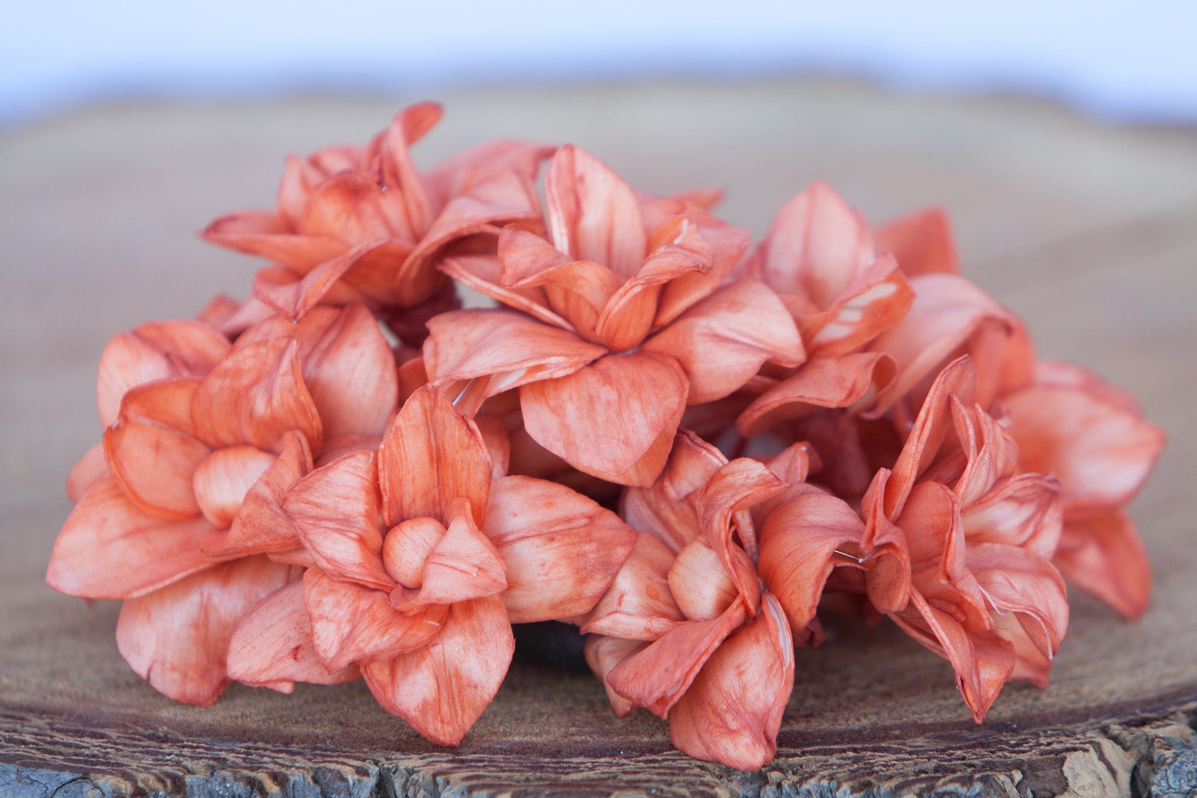 Orange Star Magnolia Sola Flowers SET OF 10 Orange Wood - Etsy