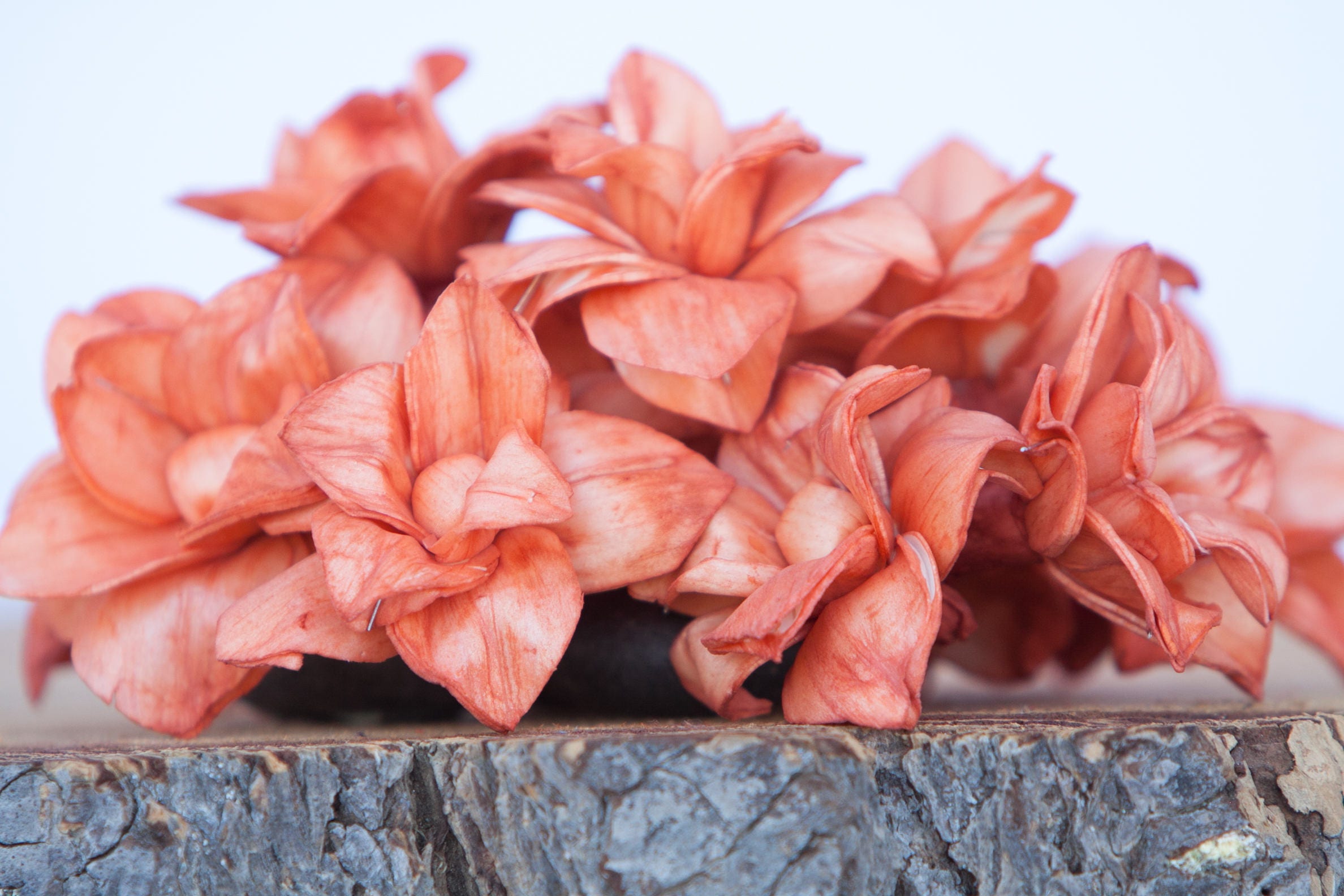 Orange Star Magnolia Sola Flowers SET OF 10 Orange Wood - Etsy