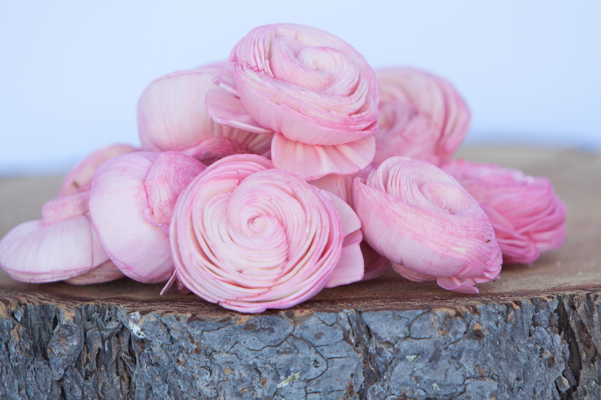 Baby Pink Sola Shell Flowers - SET OF 10