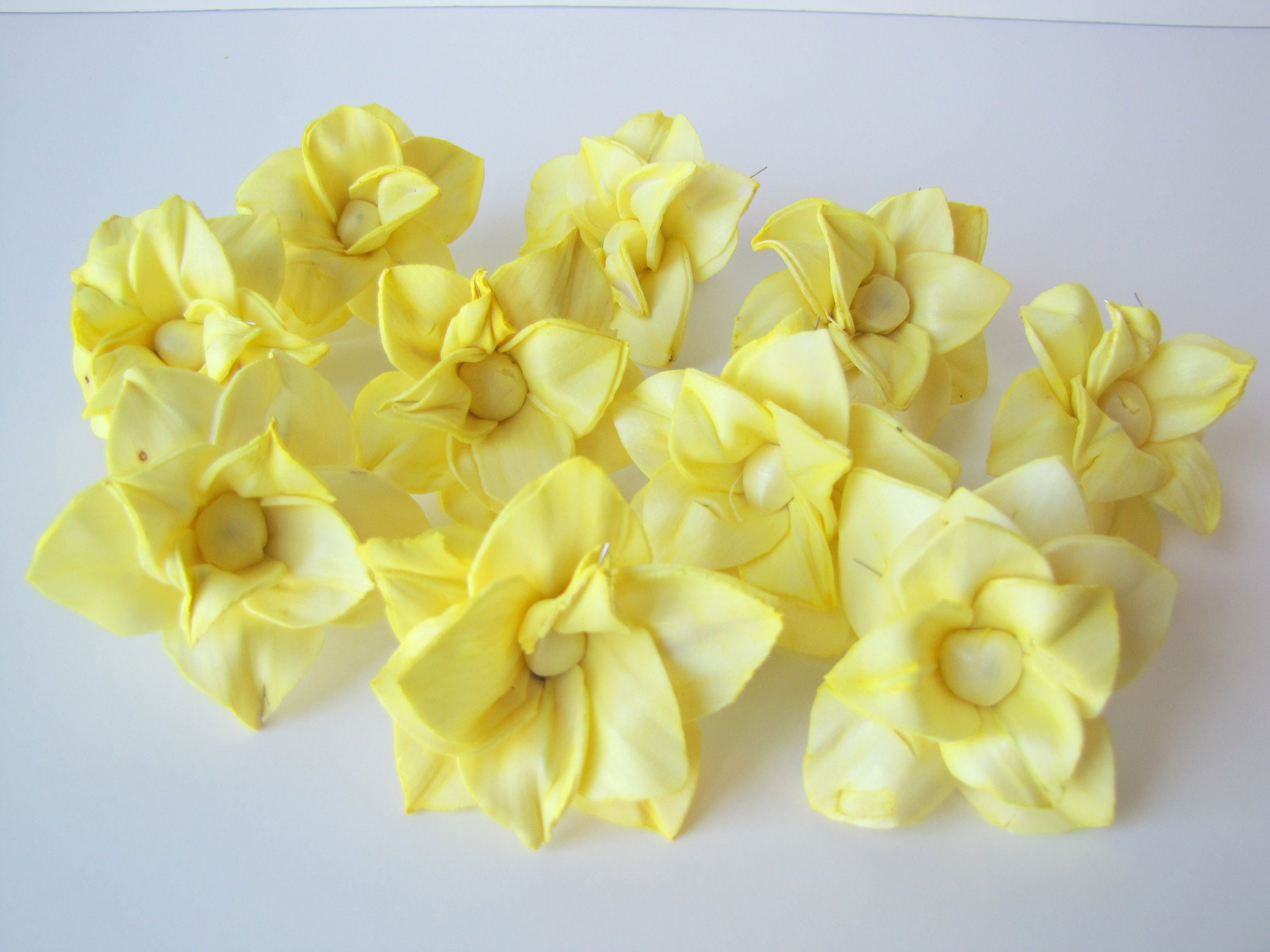 Lemon Yellow Star Magnolia Sola Flowers - SET OF 10