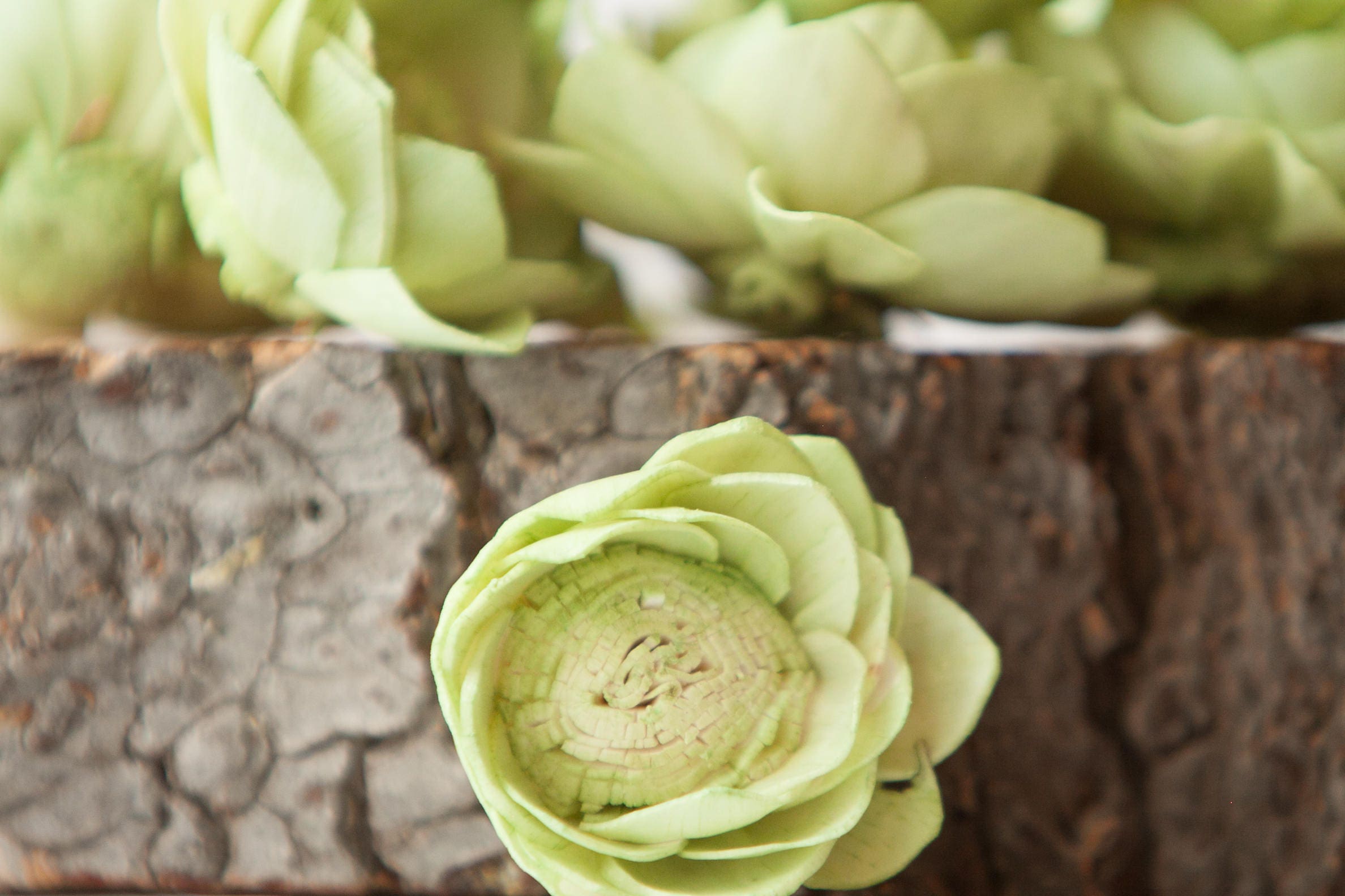 Green Camellia Sola Flowers- SET OF 10 , Green Sola Flowers, Green Wood ...