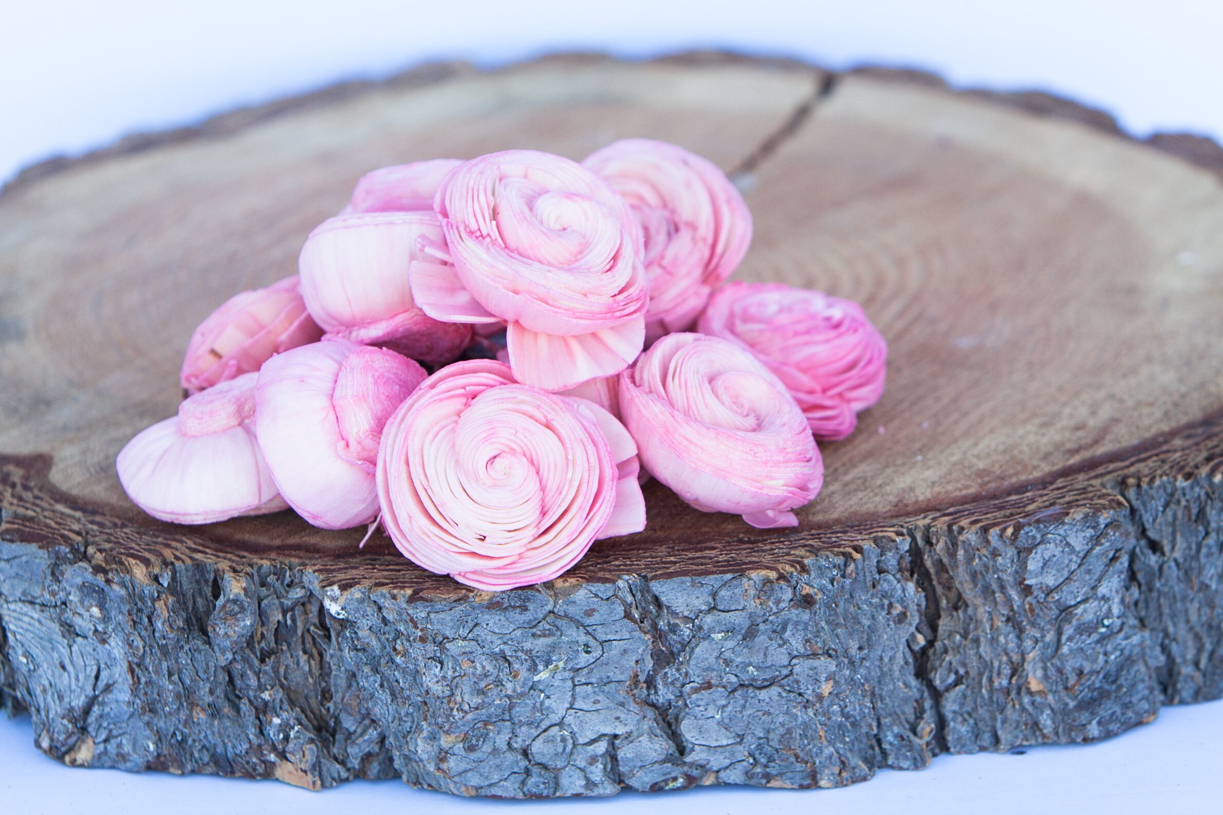 Baby Pink Sola Shell Flowers - SET OF 10