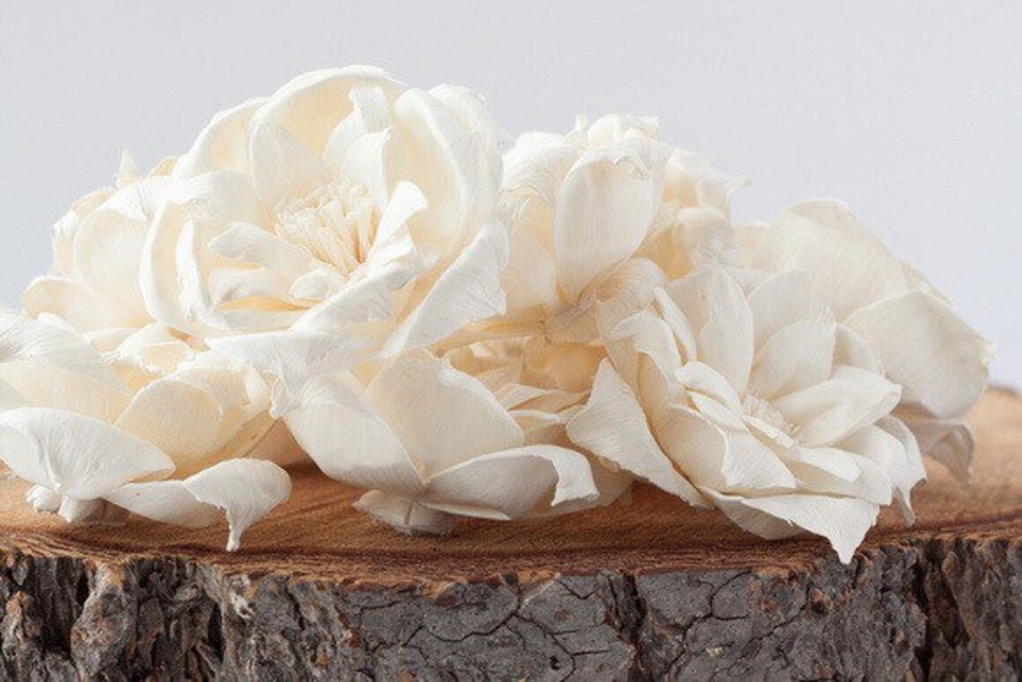 Old Garden Rose Sola Flowers Set of 5 Sola Flowers Wood - Etsy