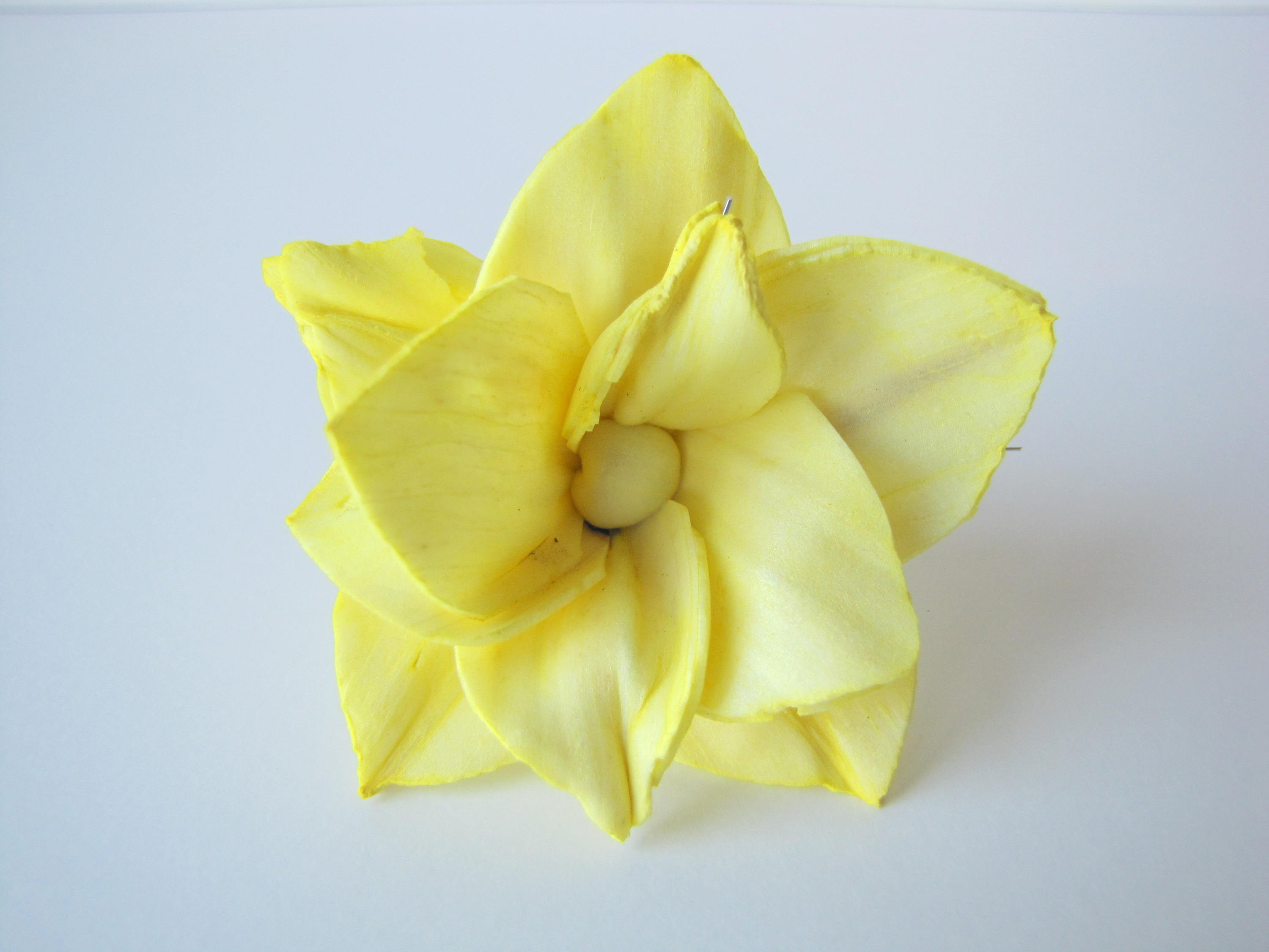Lemon Yellow Star Magnolia Sola Flowers - SET OF 10