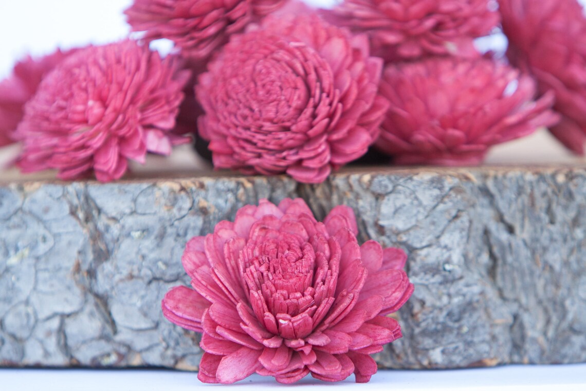 Red Zinnia Sola Flowers SET OF 10 Red Zinnias Sola Wood - Etsy