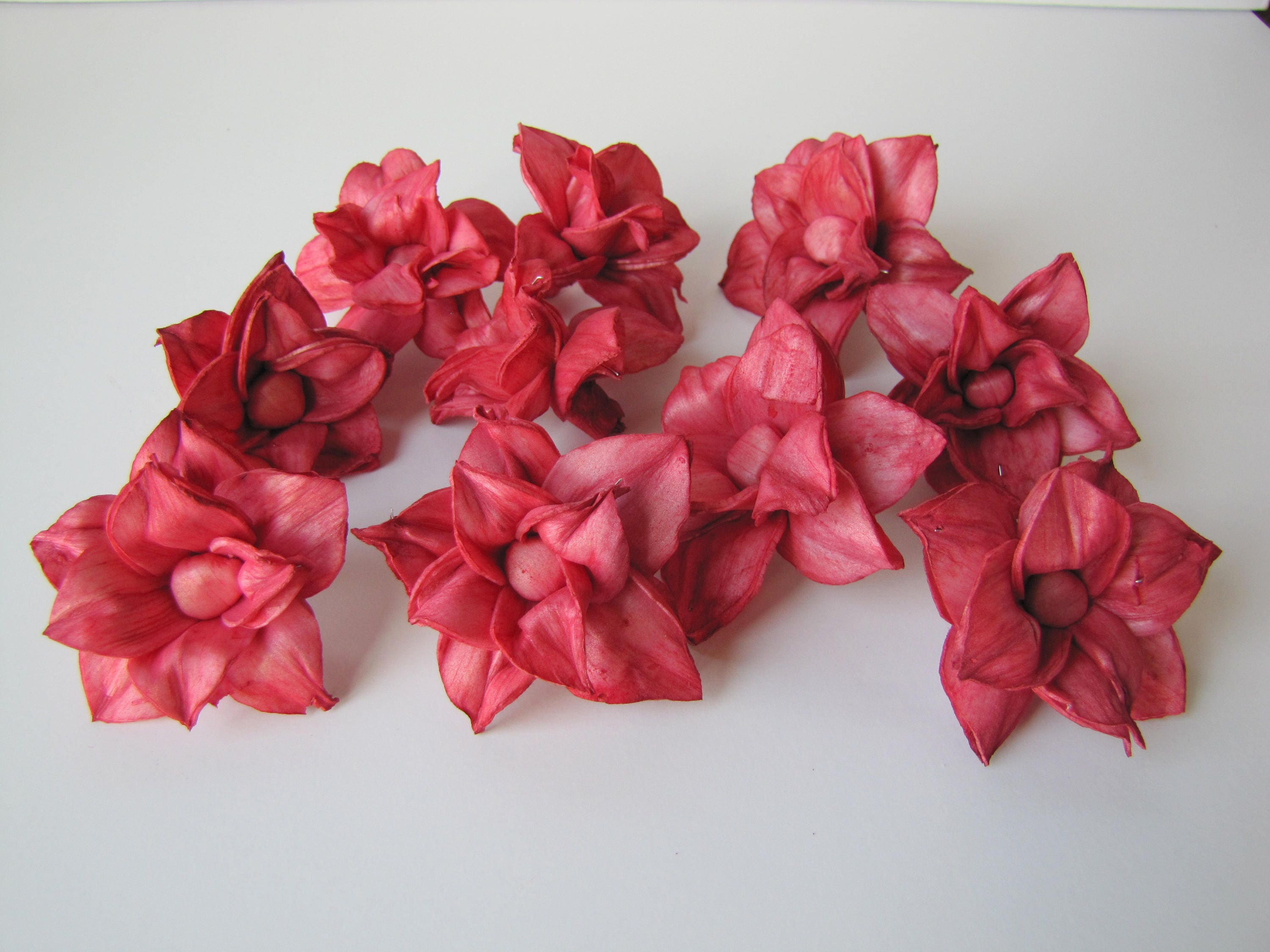 Red Star Magnolia Sola Flowers - SET OF 10