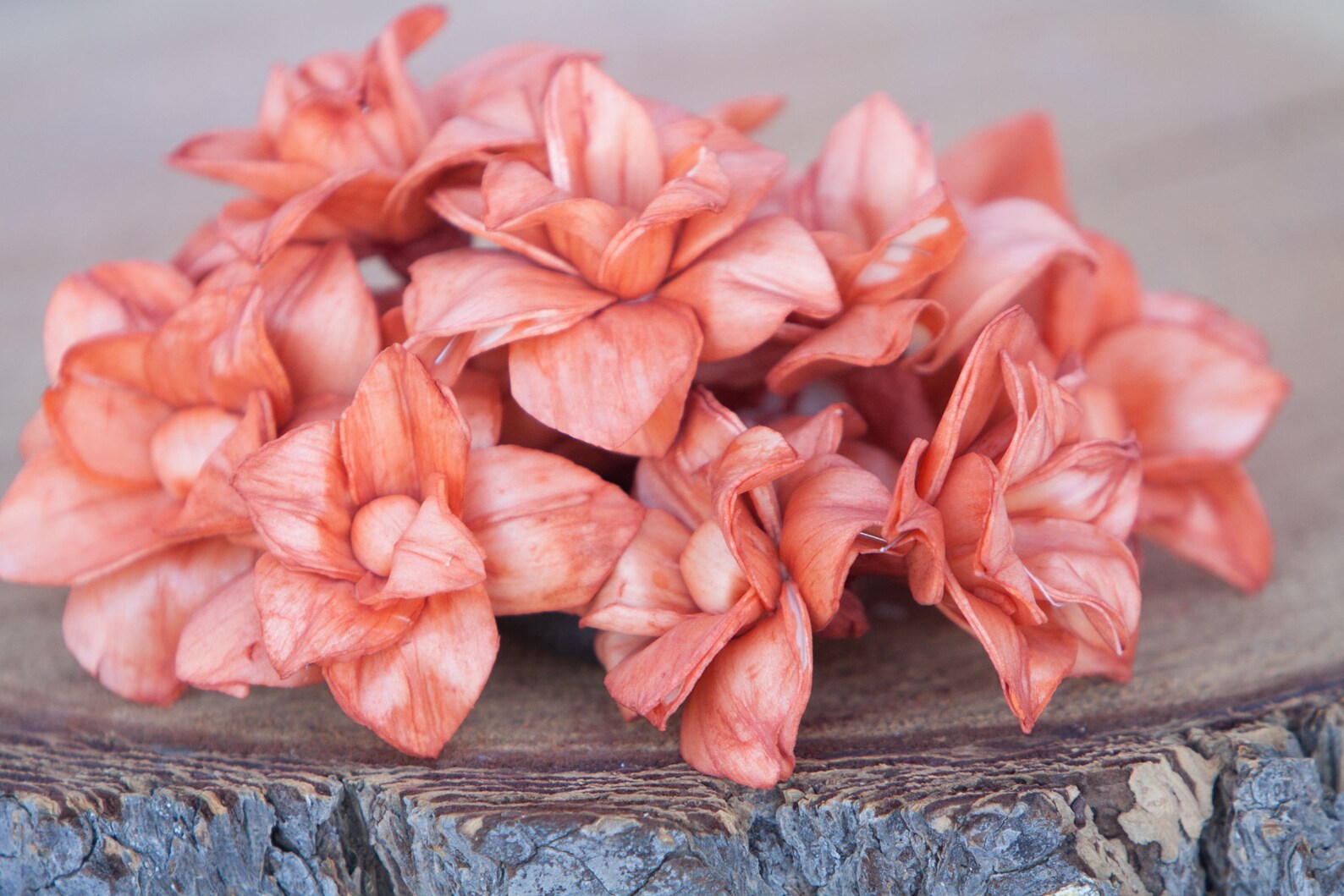 Orange Star Magnolia Sola Flowers SET OF 10 Orange Wood | Etsy