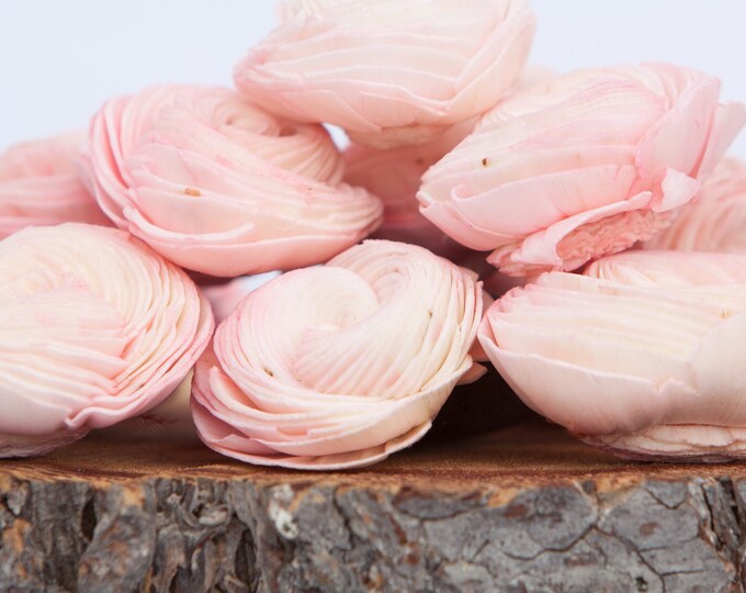 Blush Pink Sola Shell Flowers SET OF 10 Blush Sola - Etsy