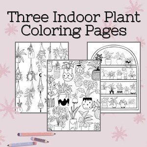 Indoor Plant Printable Coloring Pages for Adults - Etsy