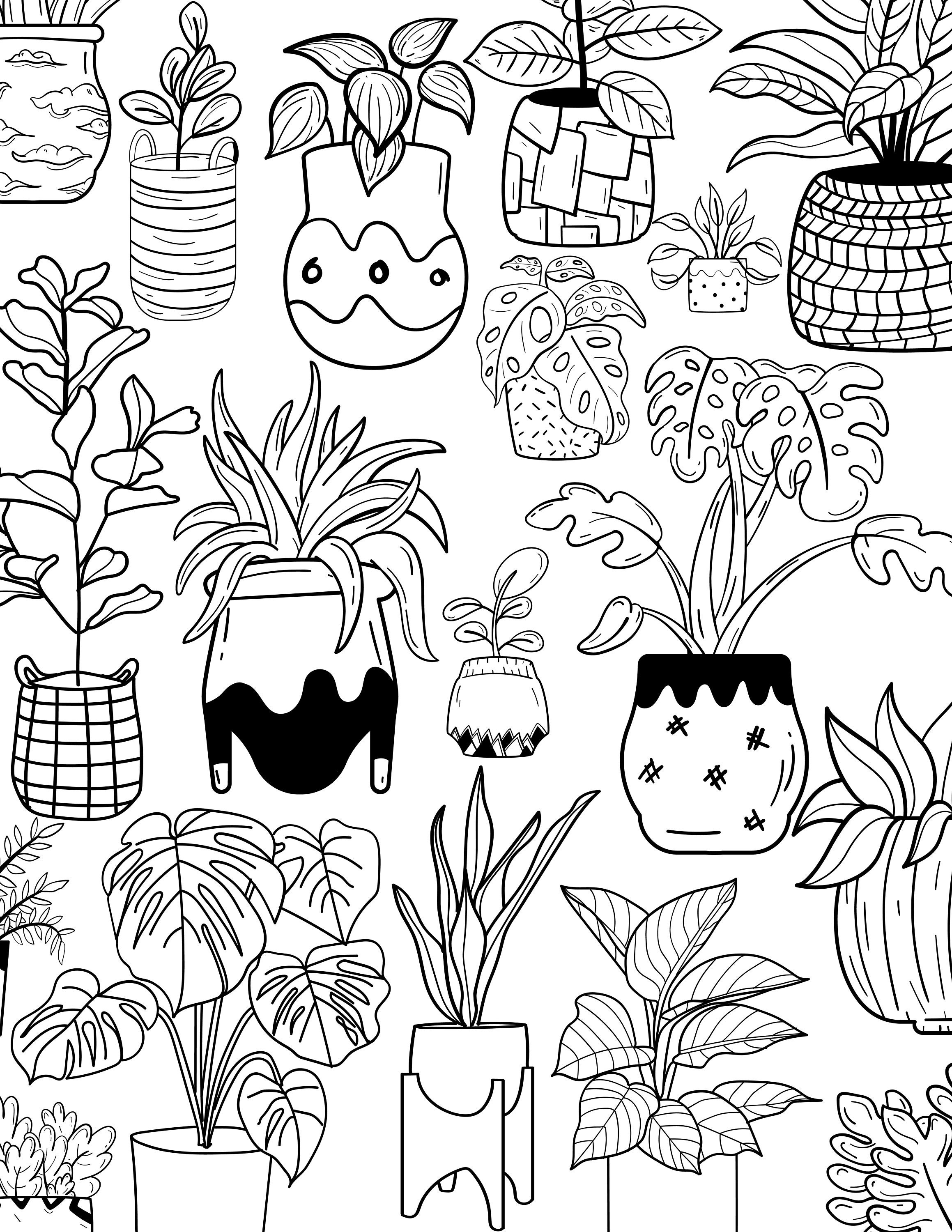 Indoor Plant Printable Coloring Pages for Adults - Etsy
