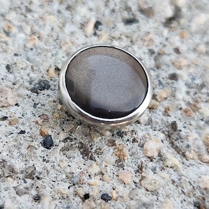 Bison Brown Pearl Snaps, 11.5 Brown Pearl Snap Fasteners, Set of 12 ...