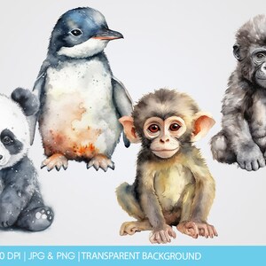 Zoo Animals Watercolor, Clipart, Clipart Commercial Use, Illustration ...