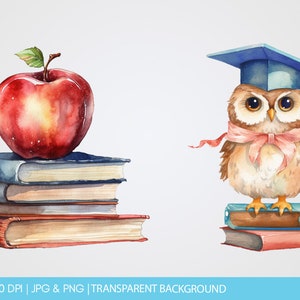 Graduation Owls Clipart Watercolor, Png, Graphics, Printable ...