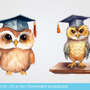 Graduation Owls Clipart Watercolor Png Graphics Printable - Etsy