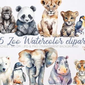 Zoo Animals Watercolor, Clipart, Clipart Commercial Use, Illustration ...