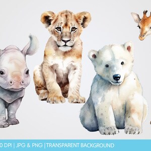 Zoo Animals Watercolor, Clipart, Clipart Commercial Use, Illustration ...