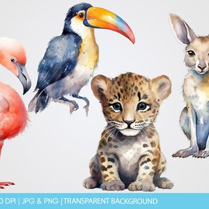Zoo Animals Watercolor, Clipart, Clipart Commercial Use, Illustration ...
