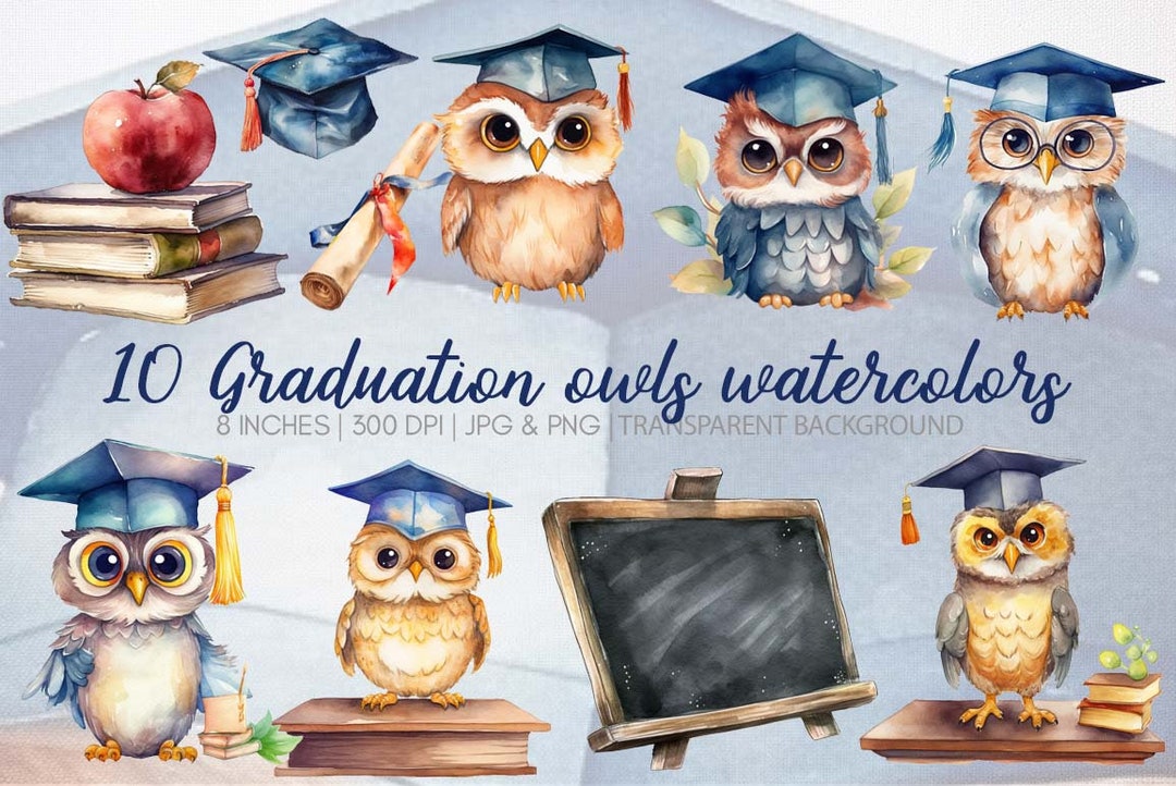 Graduation Owls Clipart Watercolor Png Graphics Printable - Etsy