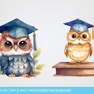 Graduation Owls Clipart Watercolor Png Graphics Printable - Etsy