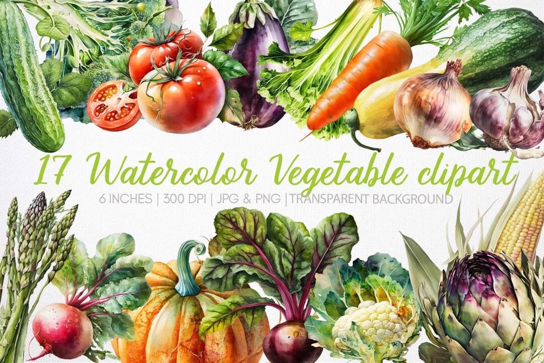 Vegetable Watercolor, Clipart, Clipart Commercial Use, Illustration ...