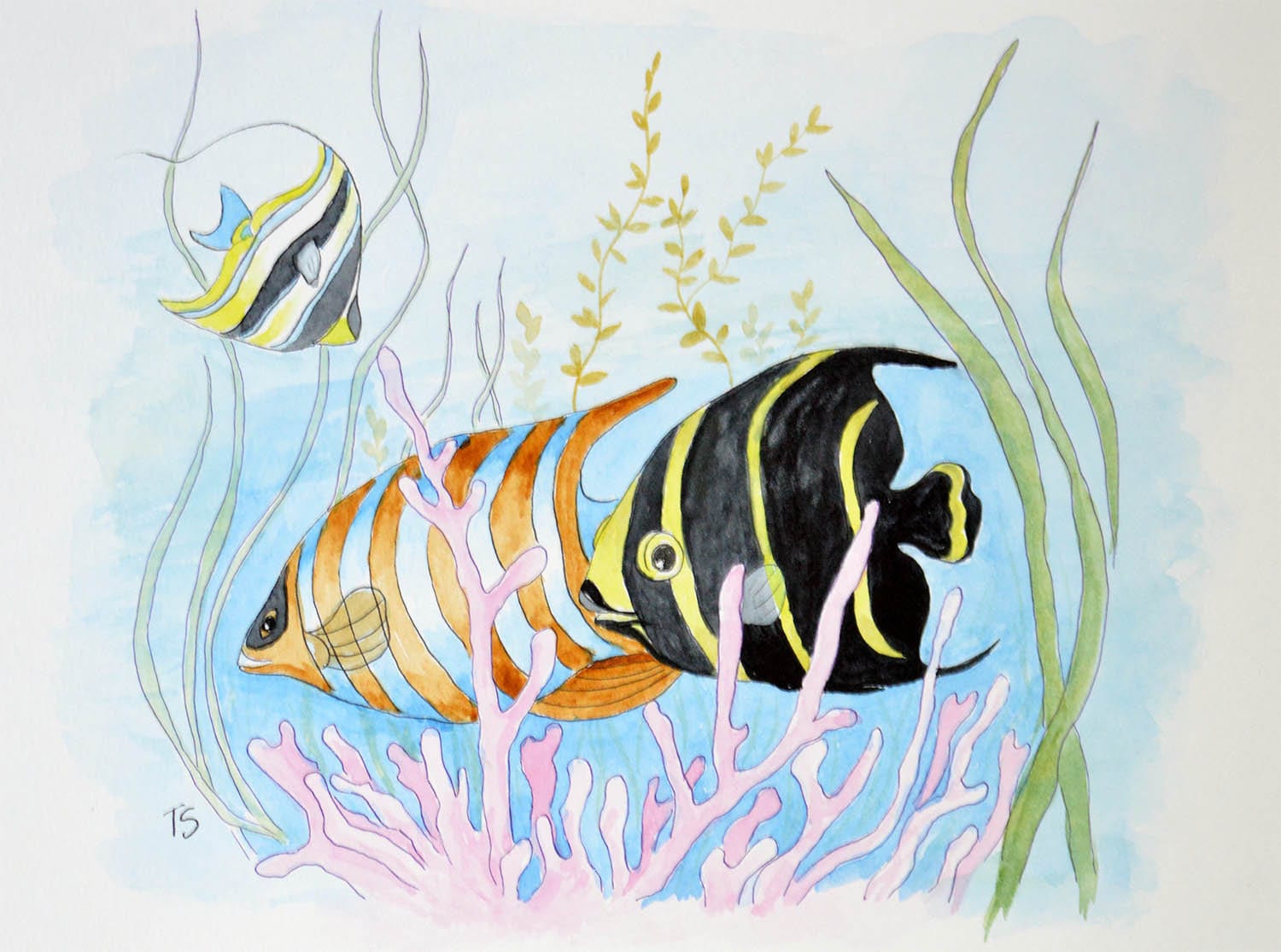 Watercolor Angel Fish