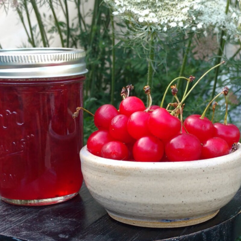 IddellDewGardens - Etsy