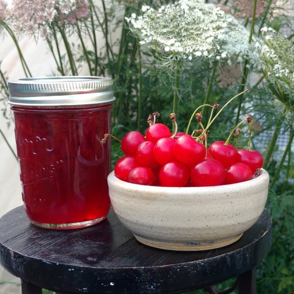 Cherry Jam - Etsy