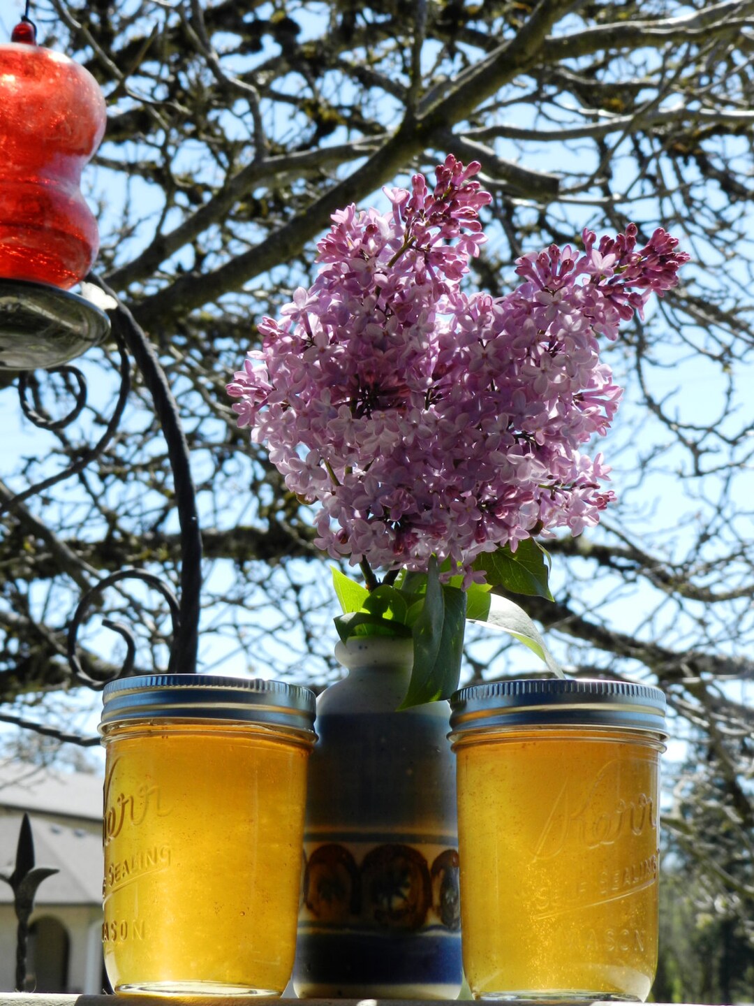 Lilac Jelly, 8 Oz Jar - Etsy