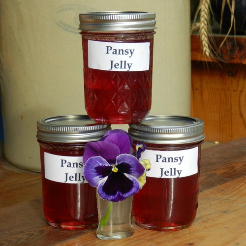 Douglas Fir Tip Jelly 8 Oz Jar Pacific Northwest Oregon - Etsy