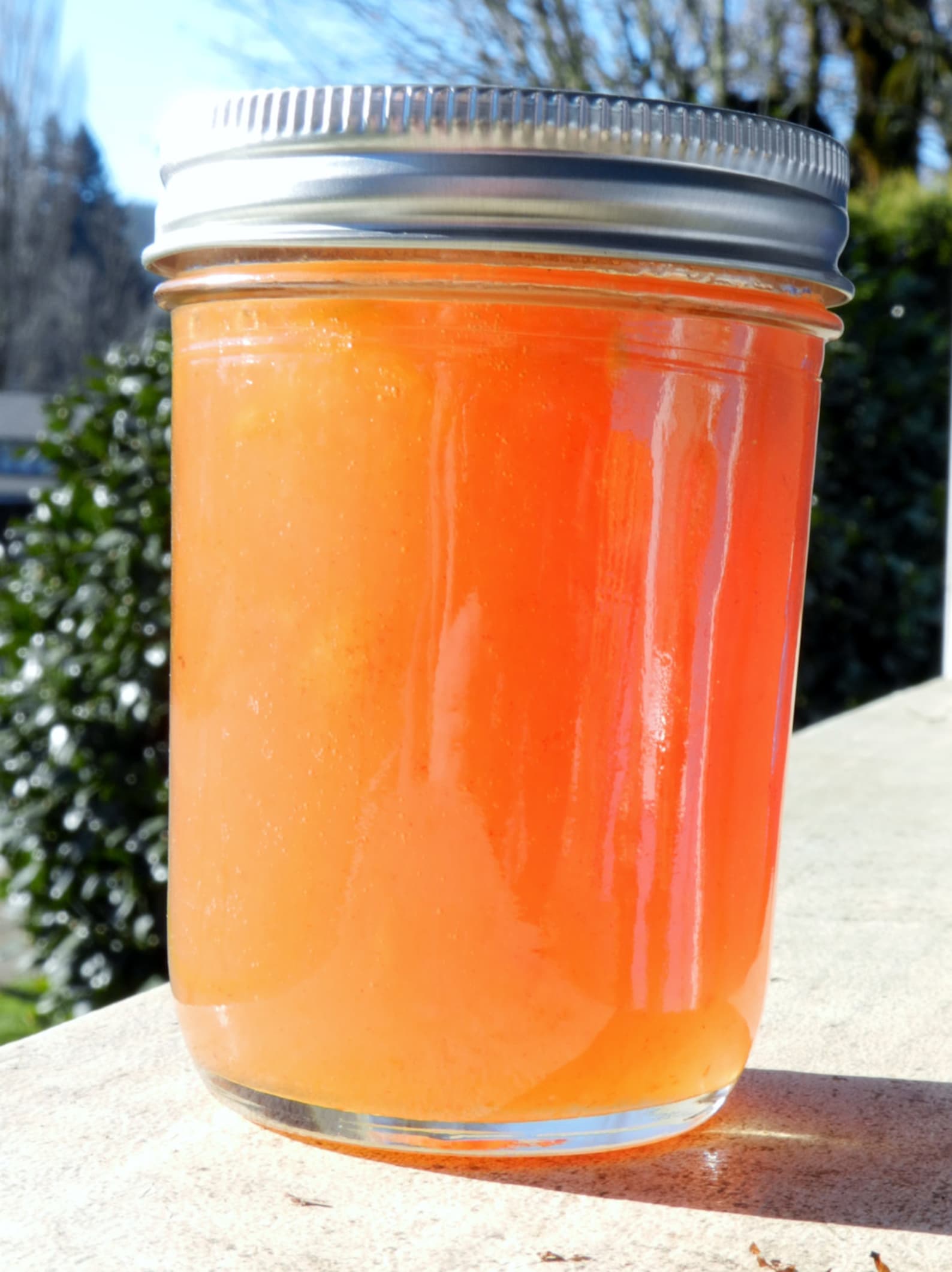 Hachiya Persimmon Jam, 8oz Jar, Oregon, Pacific Northwest, Handcrafted ...