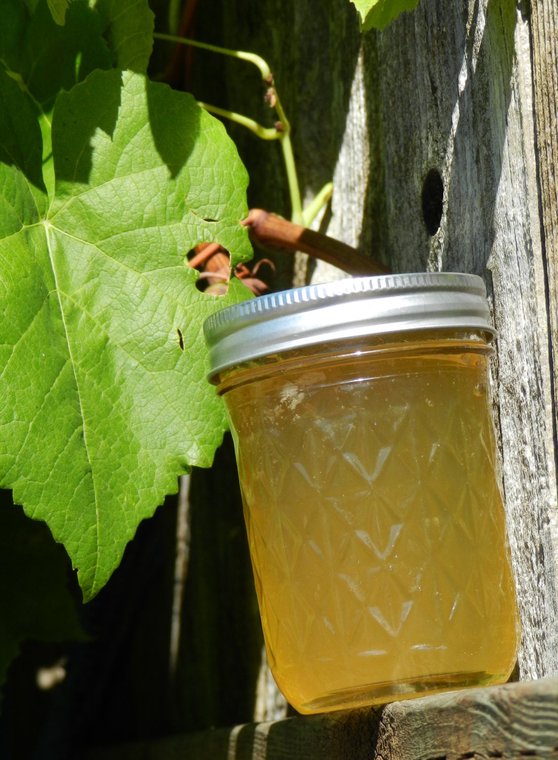White Concord Grape Jelly Hand Crafted Small Batch Oregon | Etsy