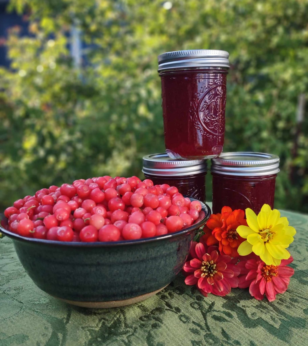 Red Huckleberry Jam, 1 Jar, 8 Oz, Red Whortleberry Jam, Red Bilberry ...