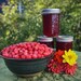 Golden Raspberry Jam, 8 Oz Jar, Oregon, Pacific Northwest - Etsy