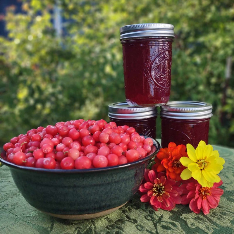 IddellDewGardens - Etsy